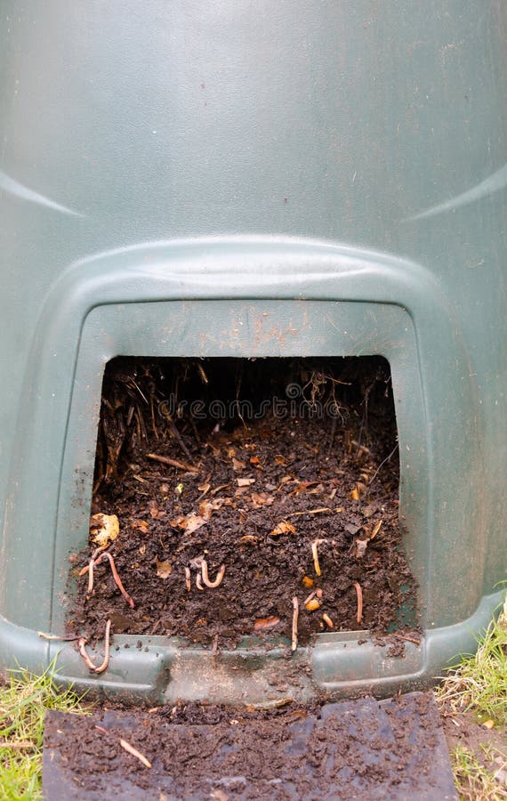 Natural, Processed Homemade Compost in a Plastic Barrel Stock Image ...