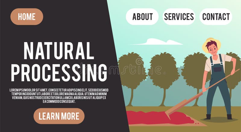 Natural Processing of Coffee Website Banner Template Flat Vector ...