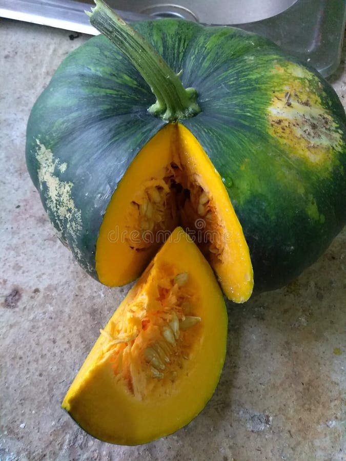 Natural Pumpkin stock photo. Image of nature, pumpkin - 159536126