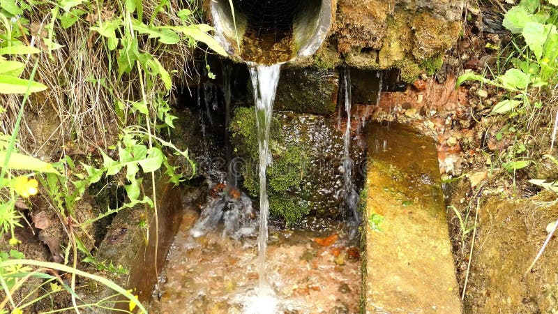 Natural, Pure Spring Water Flows from a Pipe in the Ground. Stock ...