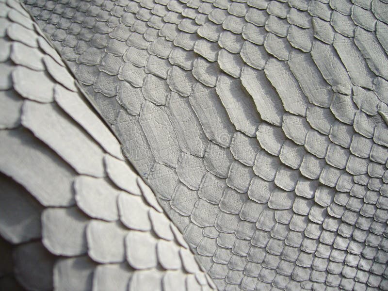 Gray Haberdashery Snake Skin. Gray Suede Matte Leather Stock Image ...