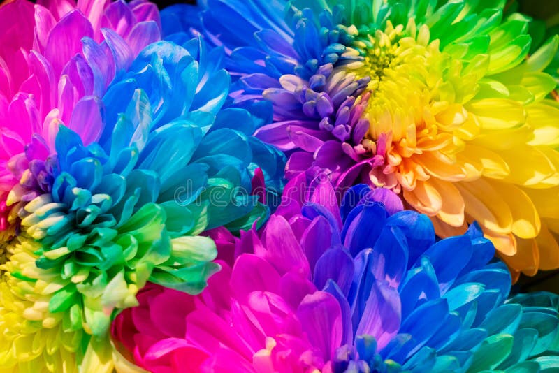 Natural flowers background stock image. Image of autumn - 169613991