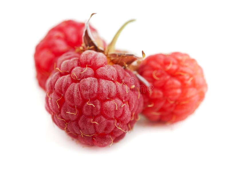 Natural raspberry stock image. Image of nature, fruity - 26215305