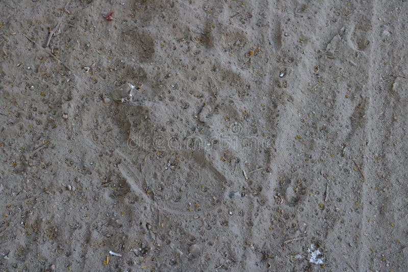 Natural Raw Road Background Texture, Background Wallpaper Stock Photo ...