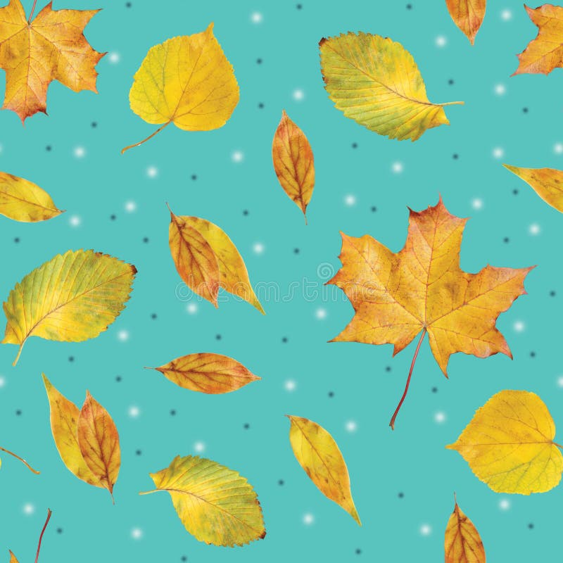 Natural Real Autumn Leaves Repeated Pattern Seamless Wallpaper on Teal ...