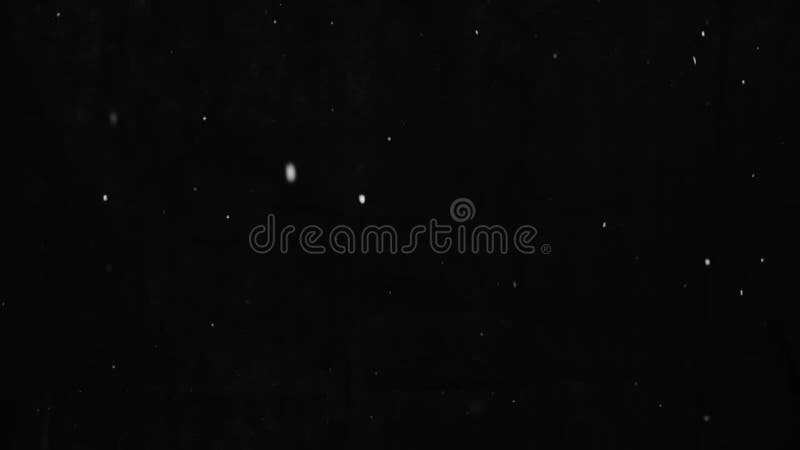 Natural Real Snow Footage on Black Background Isolated, Using for ...