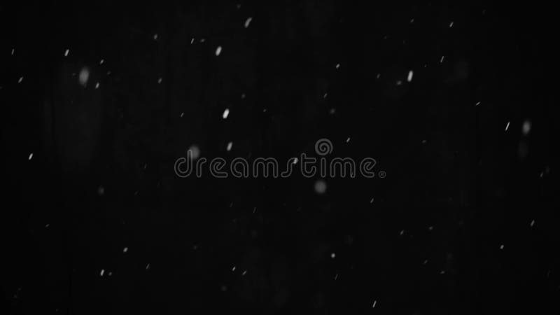 Natural Real Snow Footage on Black Background Isolated, Using for ...