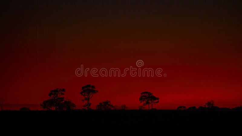Natural Red Sky Sunset with Trees in the Background Stock Image - Image ...