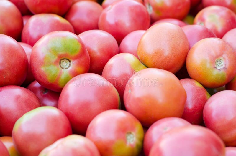Natural Red Tomatoes. the View from the Top. Texture Stock Image ...