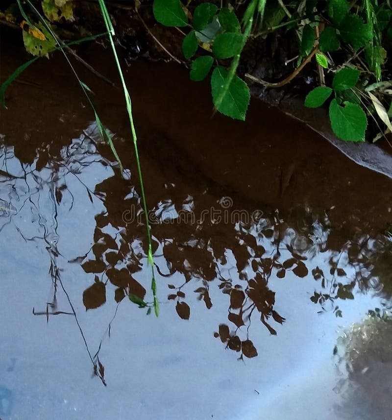 Natural Reflection in Water Stock Photo - Image of give, natural: 149578884