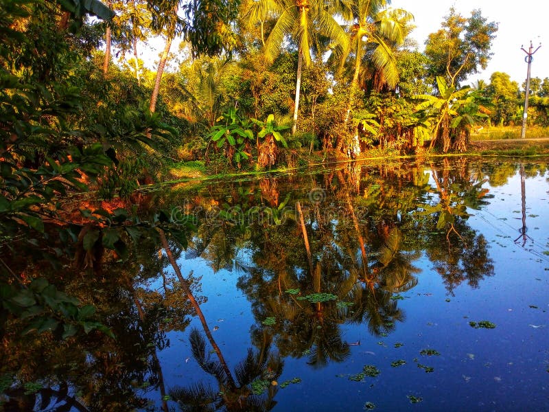 Natural reflection stock photo. Image of nature, afternoon - 134761120