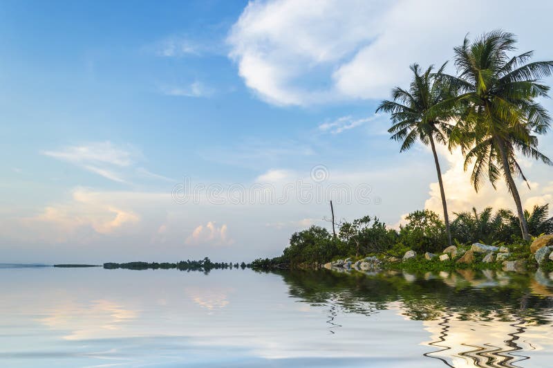 Natural reflection stock image. Image of tree, shade - 44206089