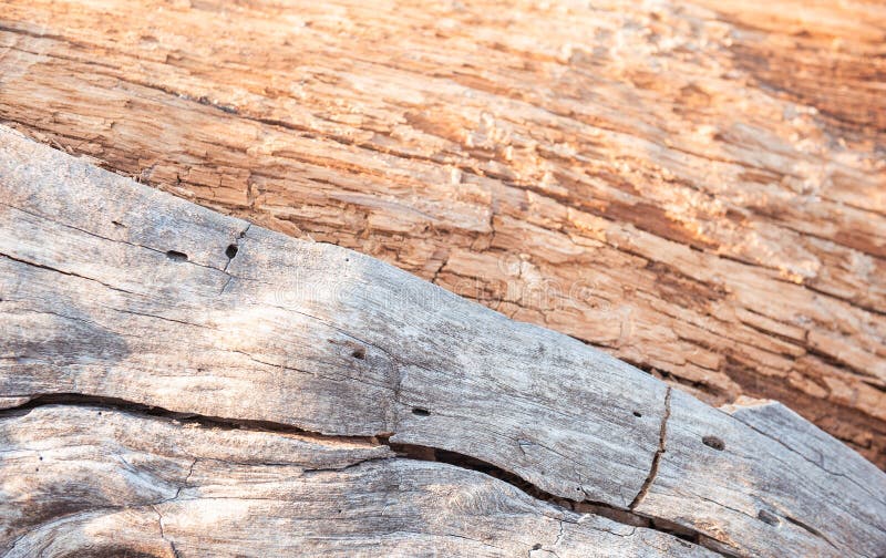 Natural Relief Background of Tree Bark Stock Photo - Image of texture ...