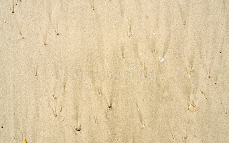 Repeating Patterns in Sand 2 Stock Photo - Image of copy, rough: 111435108