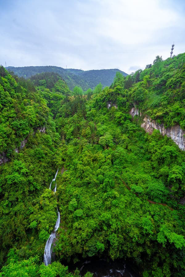Natural reserve stock photo. Image of grass, life, landscape - 117116476