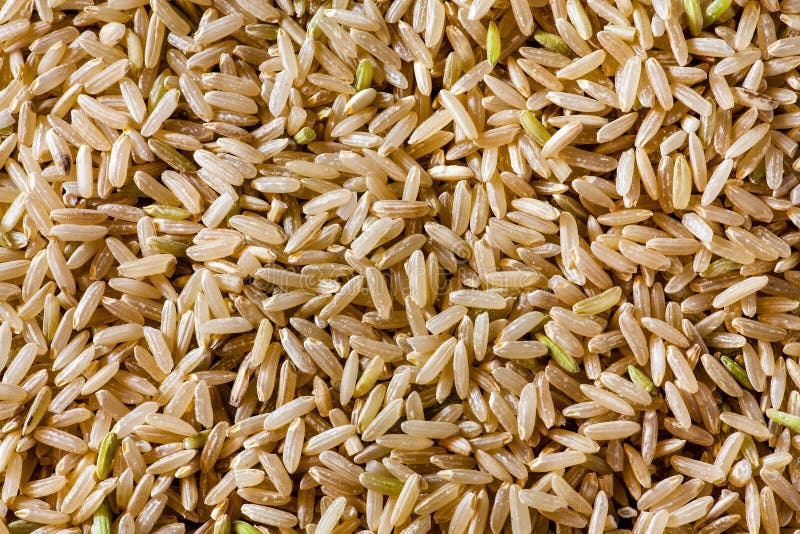 Natural rice texture stock photo. Image of cherry, gourmet - 64365264