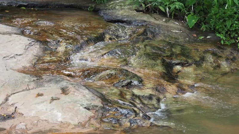 Natural rill stock video. Video of plant, flowing, landscape - 43443381