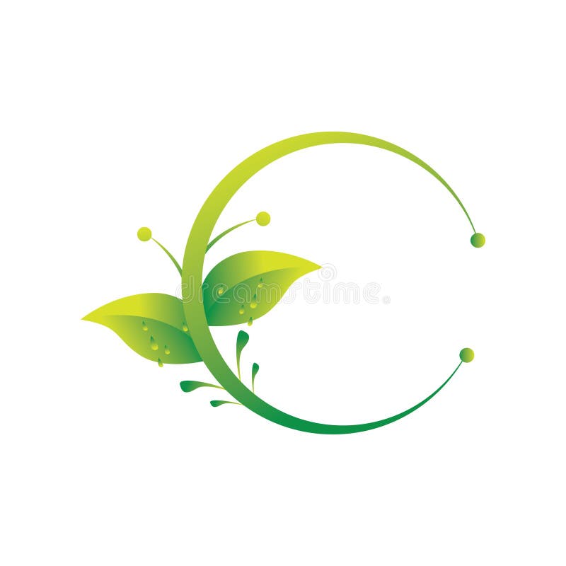 Natural Ring Logo Design Green Leaf Fresh Vector Illustration Stock ...