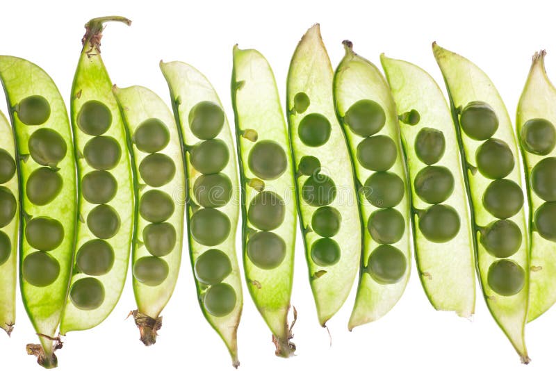 Natural ripe green peas stock photo. Image of closeup - 25808922