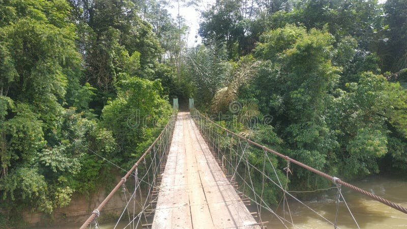 Natural river alam stock image. Image of forest, view - 241830527