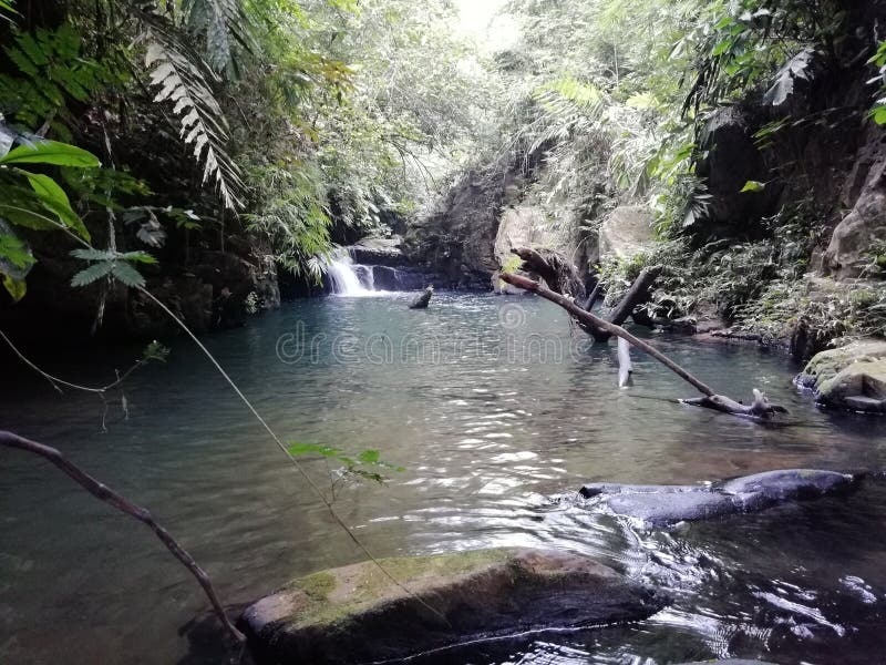 Natural River Beauty so, Clean Water Stock Image - Image of water ...