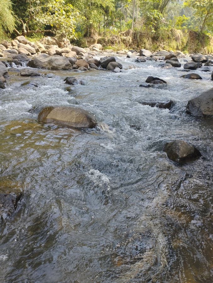 Natural River Flow with Rocks and Beautiful Views, the Clear Water is ...