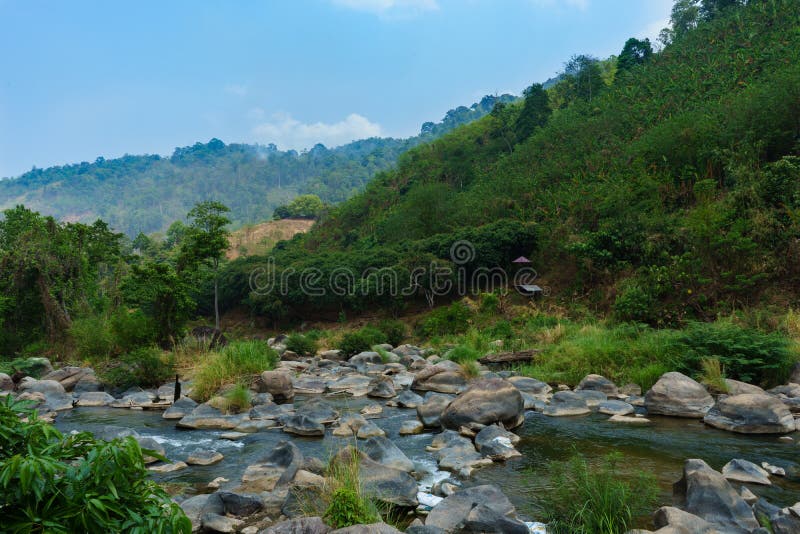 Natural River in the Forest with Rocks Landscape View Stock Image ...