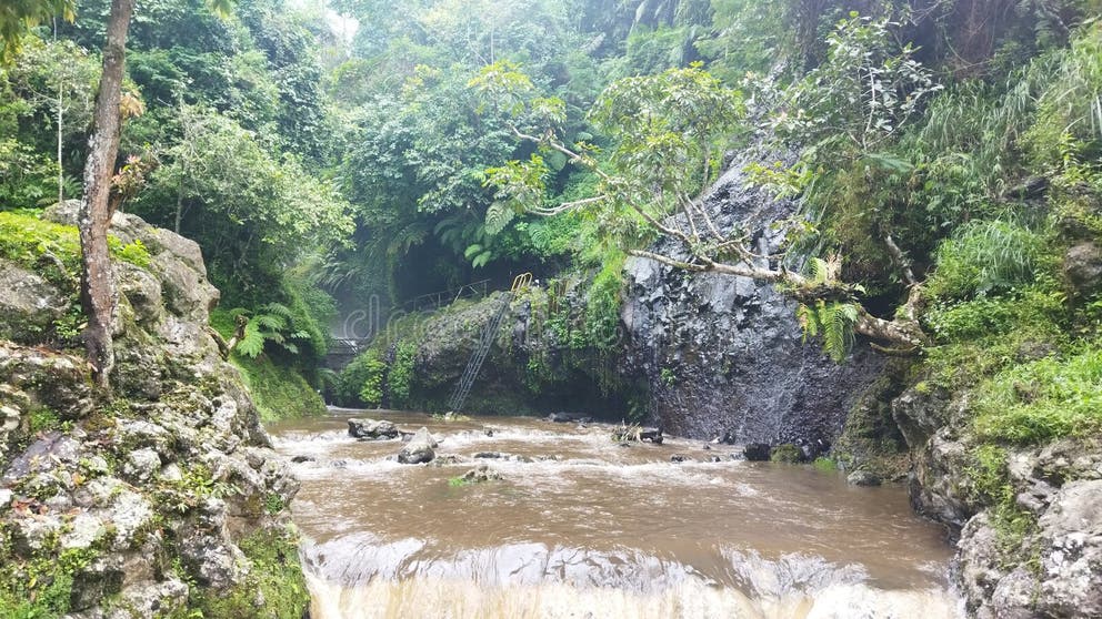 Natural River at Lembang Bandung - West Java Stock Image - Image of ...