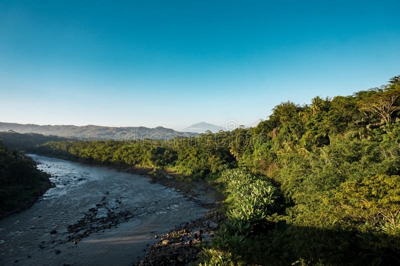 Natural River among the Mountain Forest Stock Image - Image of shore ...