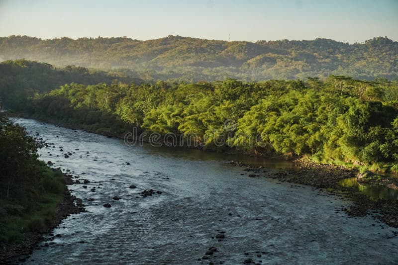 Natural River among the Mountain Forest Stock Photo - Image of mountain ...