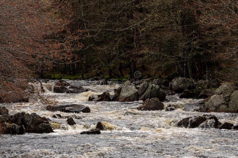 Natural River in Nova Scotia Canada Stock Photo - Image of scene ...