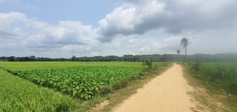 Natural Raw Road Background Texture Stock Image - Image of road ...