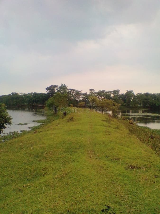 Natural Raw Road Background Texture, Background Wallpaper Stock Photo ...