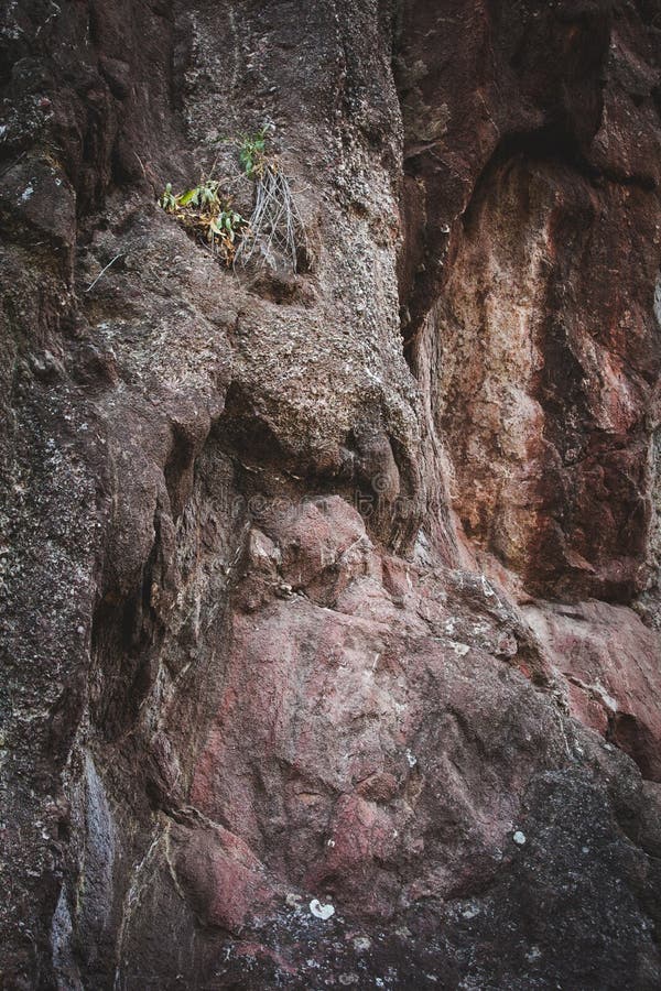 Natural Rock Cliff Texture Background Closeup Stock Photo - Image of ...
