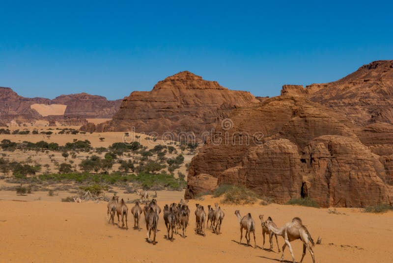 Natural Rock Formation in a Shape of Elephant, Ennedi Plateau in Sahara ...