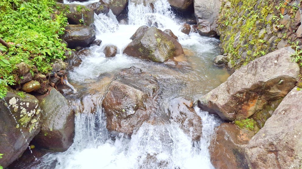 Natural Rock Texture and Flowing Clear Water in the Forest Stock Image ...