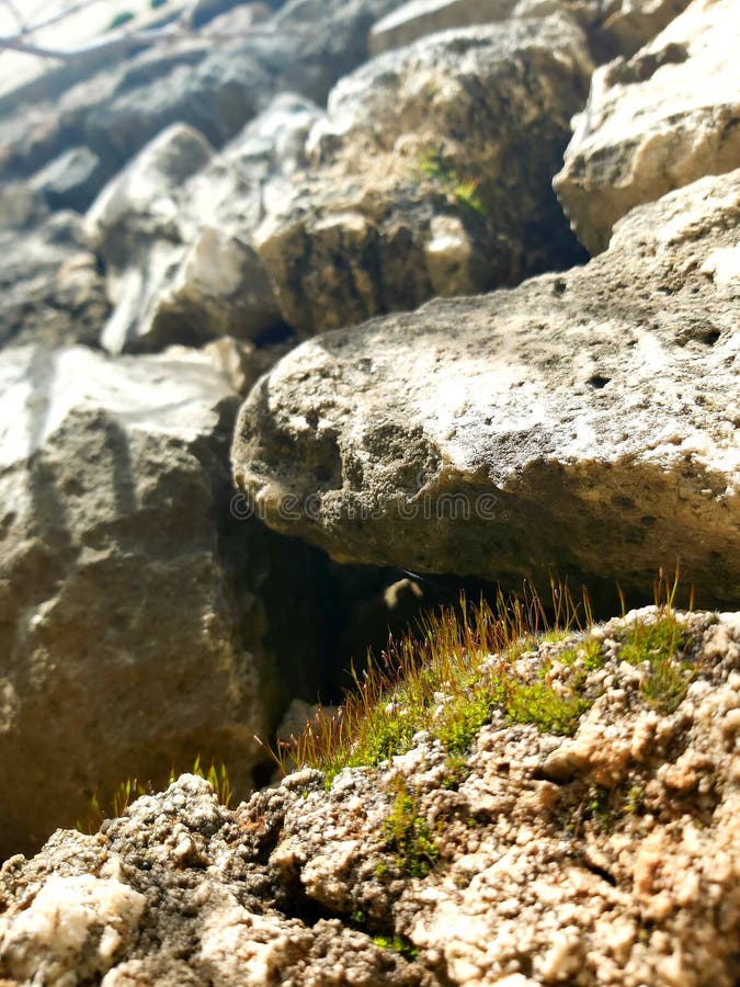 Natural rocks . stock image. Image of rocks, natural - 212446025