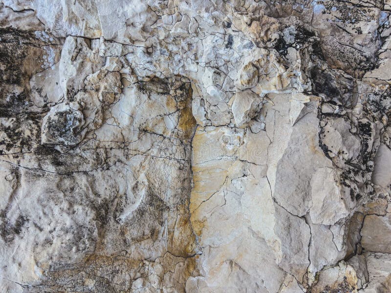 Natural Rocky Surface with Intricate Patterns and Textures in Beige ...