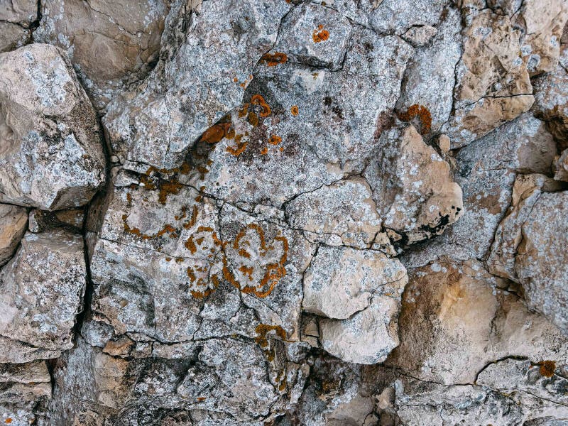 Natural Rocky Surface with Intricate Patterns and Textures in Beige ...