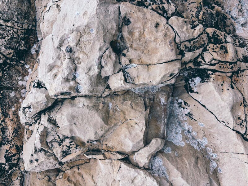 Natural Rocky Surface with Intricate Patterns and Textures in Beige ...