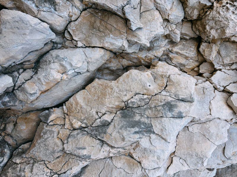 Natural Rocky Surface with Intricate Patterns and Textures in Beige ...