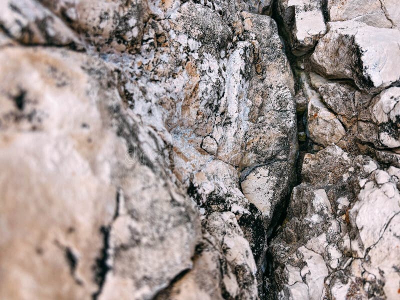 Natural Rocky Surface with Intricate Patterns and Textures in Beige ...