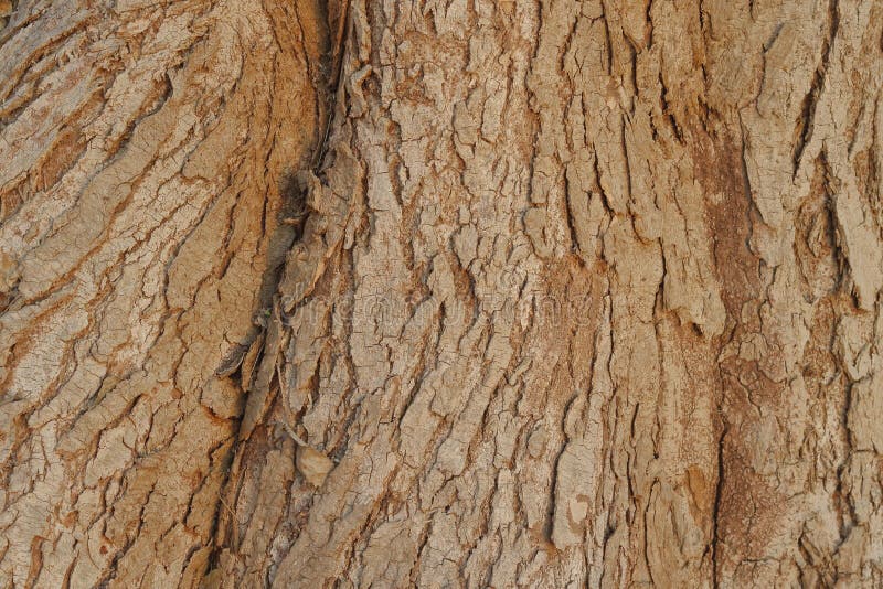 Horizontal Texture Wood Background Abstract Pattern Stock Photo - Image ...