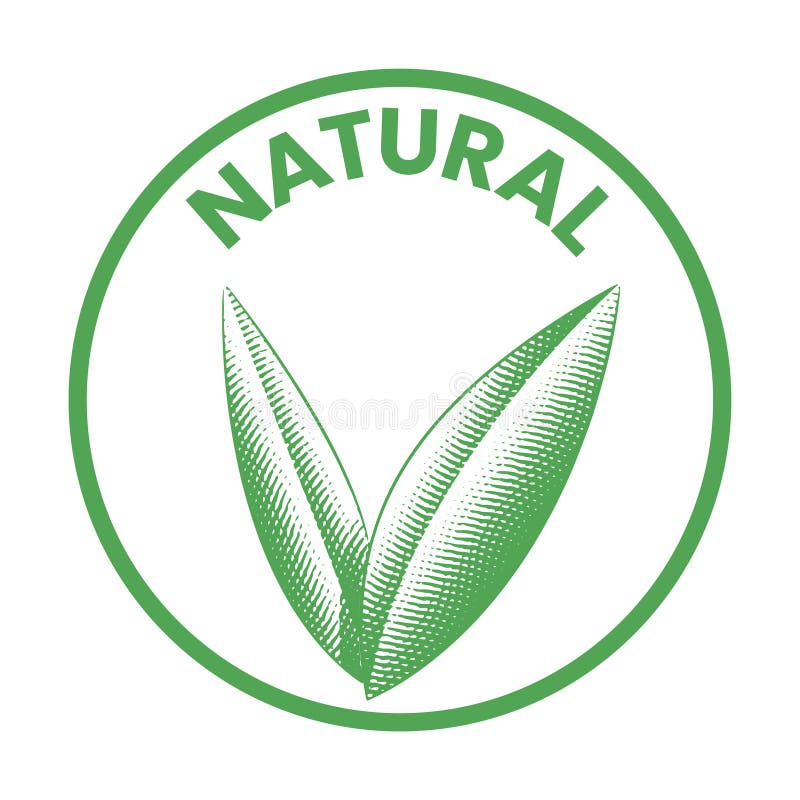 Natural Round Icon with Engraved Green Leaves - Icon 1 Stock Vector ...