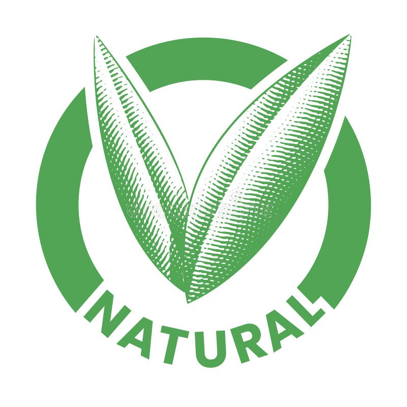 Natural Round Icon with Engraved Green Leaves - Icon 6 Stock Vector ...
