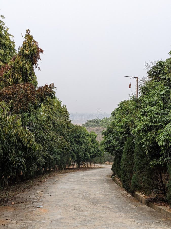 Natural route in the hills stock image. Image of garden - 269632507