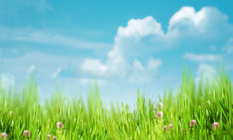 Natural rural backgrounds stock image. Image of horizon - 31788461