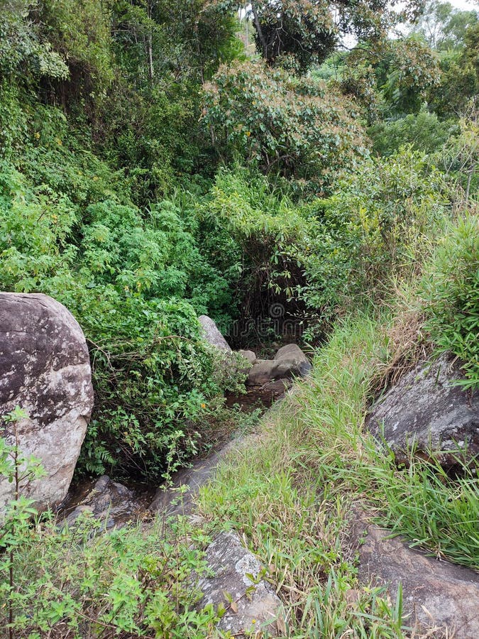 Natural Rural Environment of Sri Lanka Stock Photo - Image of ...