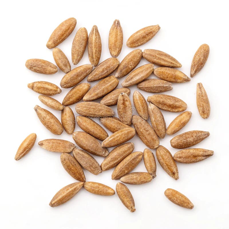 Natural Rye Berries Isolated on Transparent Background Stock ...