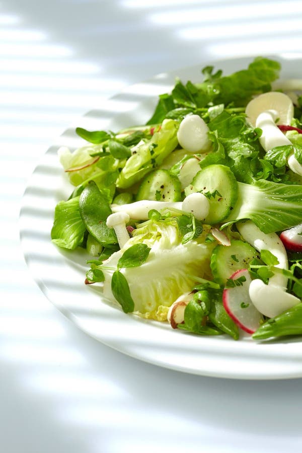 Natural Salad with Mushrooms - Fresh Salad Stock Image - Image of dish ...